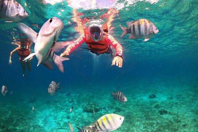 Official Chankanaab Beach Park Day pass with Lunch included - An In-Depth Look at the Experience