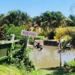Official: Sabeto Hotspring and Mud Pool Tours & Tickets - The Scenic Drive and Arrival