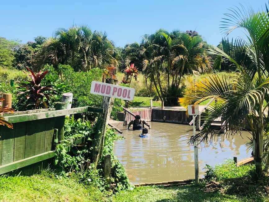 Official: Sabeto Hotspring and Mud Pool Tours & Tickets - The Scenic Drive and Arrival