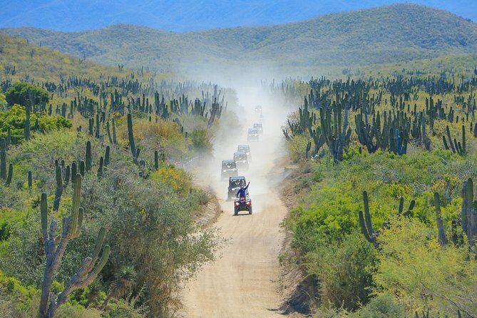 OffRoad 4X4 UTV Adventure with unlimited Lunch & Tequila - What the Reviews Say
