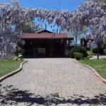 Ojos Negros Valley Wine and Cheese Route Tour in Baja California - The Sum Up: Why Choose This Tour?