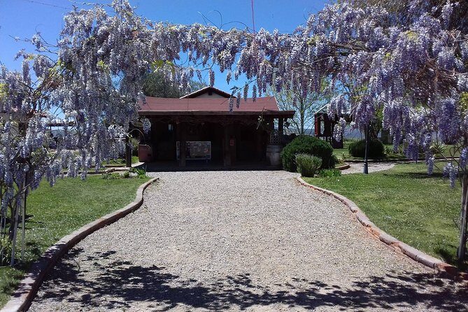Ojos Negros Valley Wine and Cheese Route Tour in Baja California - The Sum Up: Why Choose This Tour?