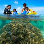 OK from 2 years old! / Sea picnic & snorkel - A Detailed Look at the Itinerary