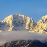 Okarito Nature Tour - An In-Depth Look at the Okarito Nature Tour