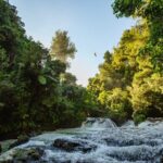 Okere Falls Zipline Experience - The Valued Experience