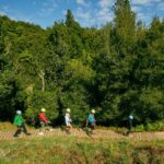 Okere Falls: Zipline over Waterfalls Experience - Cultural and Ecological Highlights