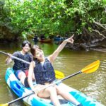 Okinawa Iriomote Mangrove SUP or Canoe Tour - Discovering Iriomote’s Mangroves: What to Expect