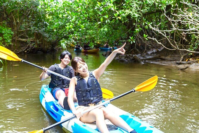 Okinawa Iriomote Mangrove SUP or Canoe Tour - Discovering Iriomote’s Mangroves: What to Expect