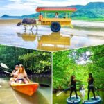 Okinawa Iriomote SUP or Canoe and Sightseeing in Yubujima island - Key Points