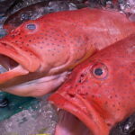 Okinawa: Market Tour and Cooking Class with a Chef - The Value of the Experience