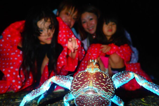 Okinawa Miyako Star gazing and subtropical jungle night tour - Exploring the Night of Miyakojima: A Genuine Adventure