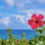 Okinawa Private Custom Tour with Local Guide - Detailed Breakdown of the Itinerary