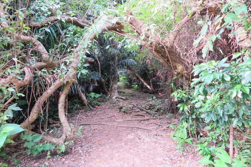 Okinawa: Sacred Island Tour to Kudakas Ryukyuan Holy Sites - An In-Depth Look at the Kudaka Island Sacred Tour