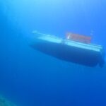 Okinawa Scuba Diving For Certified Divers (3 boat dives + Lunch) - Authenticity and Value