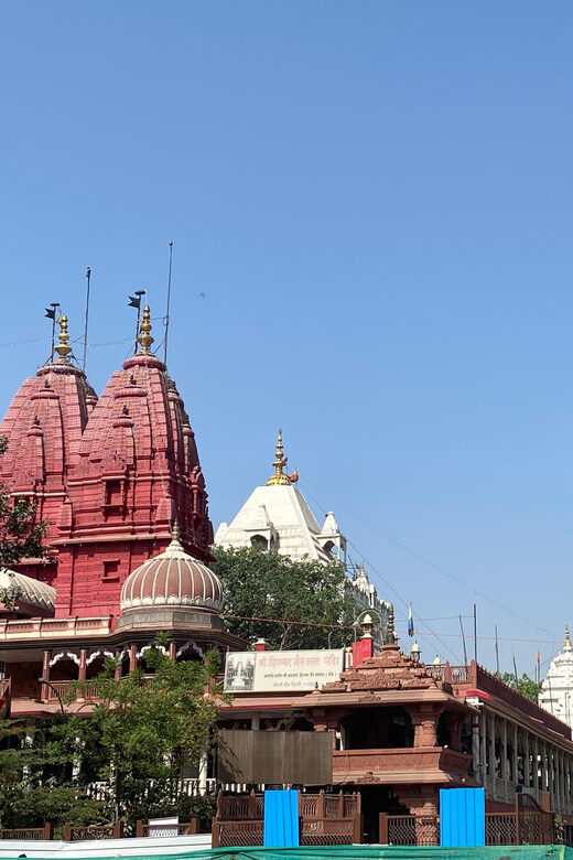 Old Delhi: Cultural & Historical Local Tour Experience - In-Depth Itinerary Breakdown