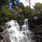 Old Growth Forest Cascade - Who Is This Tour Best For?