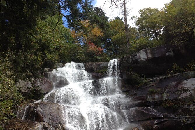 Old Growth Forest Cascade - Who Is This Tour Best For?