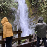 Olympic National Park: Half-Day Tour - Rail Through the Itinerary