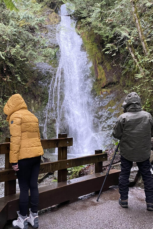 Olympic National Park: Half-Day Tour - Rail Through the Itinerary