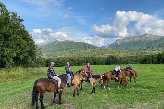 One and Half Hour Trail Ride at The Base of Chugach Mountains - What We’ve Heard from Participants
