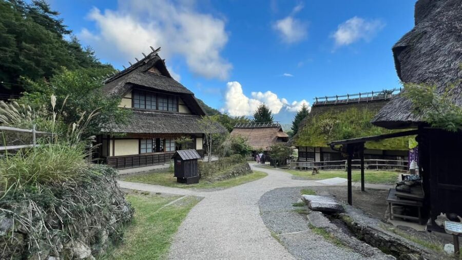 One Day 10hrs Mount Fuji Tour English Speaking Driver - An In-Depth Look at the Mount Fuji Tour Experience