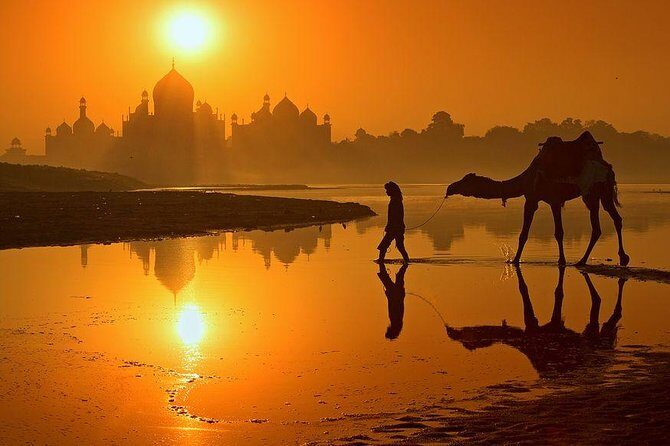 One Day Exclusively Grand Tour of Taj Mahal from Delhi - Authentic Experiences and Insights