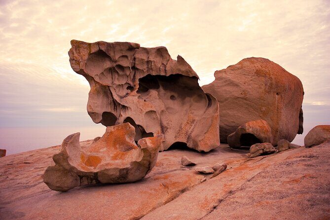 One Day Kangaroo Island Highlights Tour - Vivonne Bay — A Scenic Coastal Break