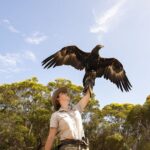 One Day Kangaroo Island Sip & See tour with return ferry transfers from Adelaide - Cliffords Honey Farm: Sweet Discoveries