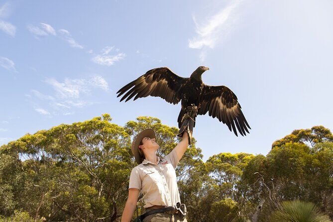 One Day Kangaroo Island Sip & See tour with return ferry transfers from Adelaide - Cliffords Honey Farm: Sweet Discoveries