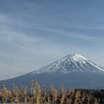 One day mountain Fuji & Hakone tour with English hindi bilingual - Transportation and Logistics: How This Tour Works for You