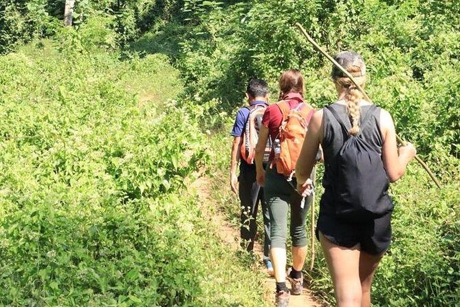One Day Premier Trek Jungle & Waterfall - A Deep Dive into the Experience