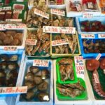 One day Private Sapporo Highlights Tour - The Value in a Short Day
