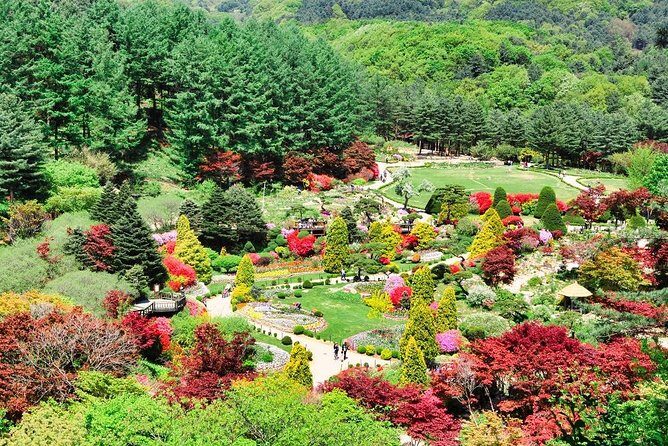 One Day Private Tour-Nami, Petite and Garden of Morning Calm - Practical Details: What’s Included and What’s Not