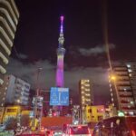 One Day Private Tour of Tokyo Famous Places - What’s Included & What’s Not