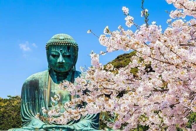 One day private tour to Kamakura Kotoku-in Temple and Enoshima - Why Choose This Tour?