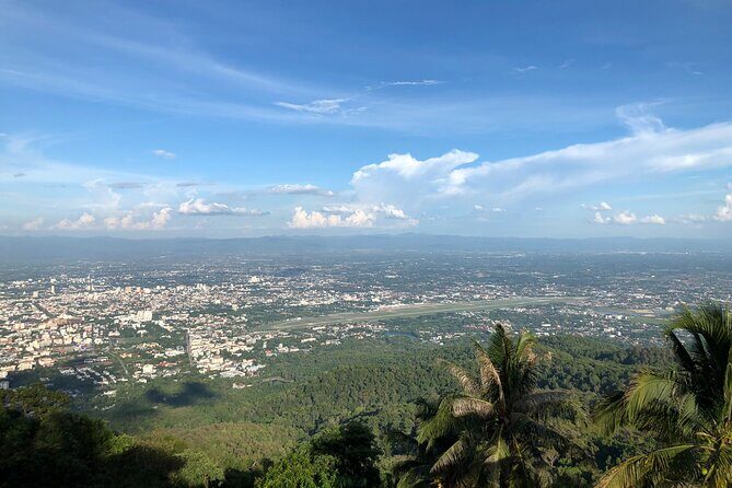 One Day Tour Doi Suthep Temple, Palad Temple, Orchid Farm, Longneck hill tribe village (Private tour) - Detailed Breakdown of the Itinerary