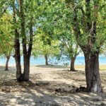 One-day tour from Bishkek to Issyk-Kul Lake - Considerations and What You Might Miss