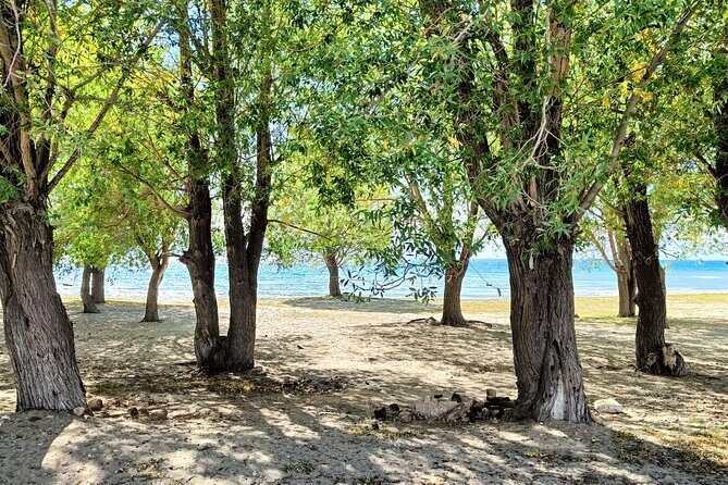 One-day tour from Bishkek to Issyk-Kul Lake - Considerations and What You Might Miss
