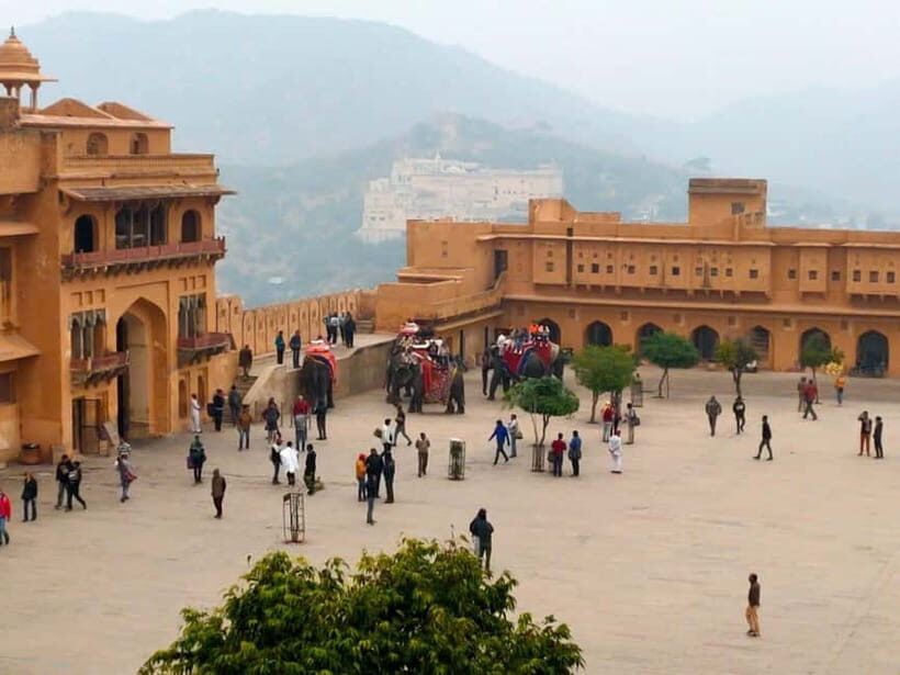 One day Tour in Pink City Jaipur with Guide - What Travelers Say and Why This Tour Works