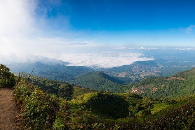 One Day Trekking & Bamboo rafting at Mae wang - Who Is This Tour Best For?