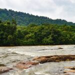 One day trip to Athirapally waterfall and Cherai beach to Kochi. - A Full Breakdown of the Experience