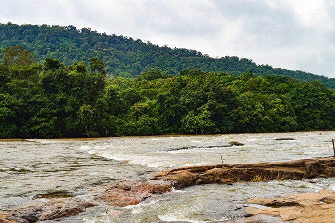 One day trip to Athirapally waterfall and Cherai beach to Kochi. - A Full Breakdown of the Experience