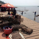 One Day Trip to Pepper Farm, Chhngok Temple and Salt Field - Introduction: What This Tour Offers