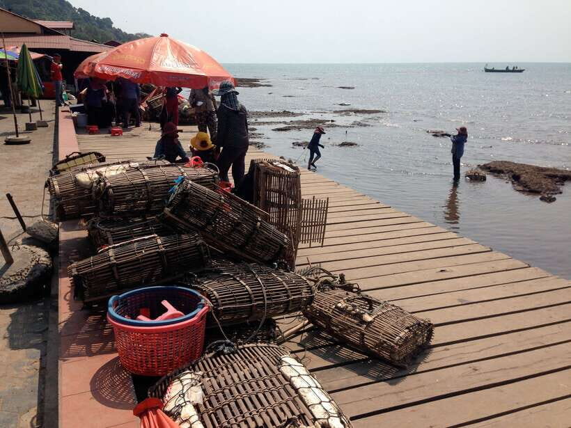 One Day Trip to Pepper Farm, Chhngok Temple and Salt Field - Introduction: What This Tour Offers