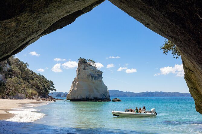 One Hour Cathedral Cove Boat Tour in Hahei - The Value of the Experience