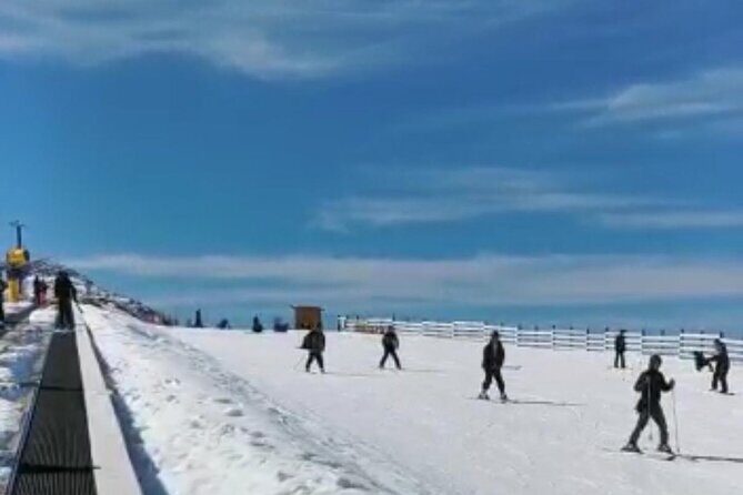 One way transfer to Remarkable or Coronet Peak Ski Fields - Real Experience, Real Reviews