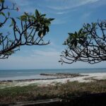 oneway transfer service Bangkok-Hua hin - Why Choose This Service?