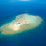 Oolala Cruises on Savala Island - The Value of This Cruise