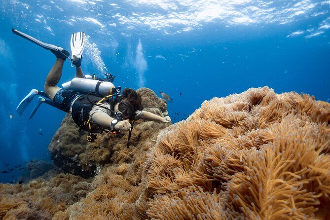 Open Water Course - Become certified diver in 3 days - What to Expect During the Course