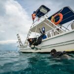 Open Water Course Cozumel - What to Expect During the Course